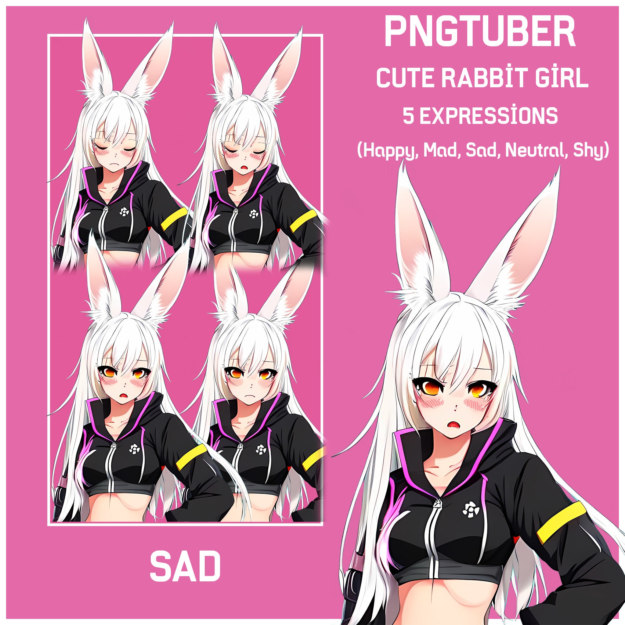PNGTUBER Cute Bunny Girl Vtuber 5 Expressions Premade Streamer Female ...