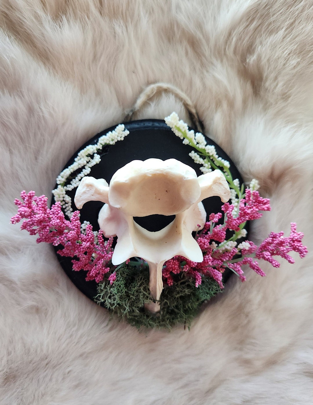 Genuine Feral Hog Vertebrae Floral Wall Art - Etsy