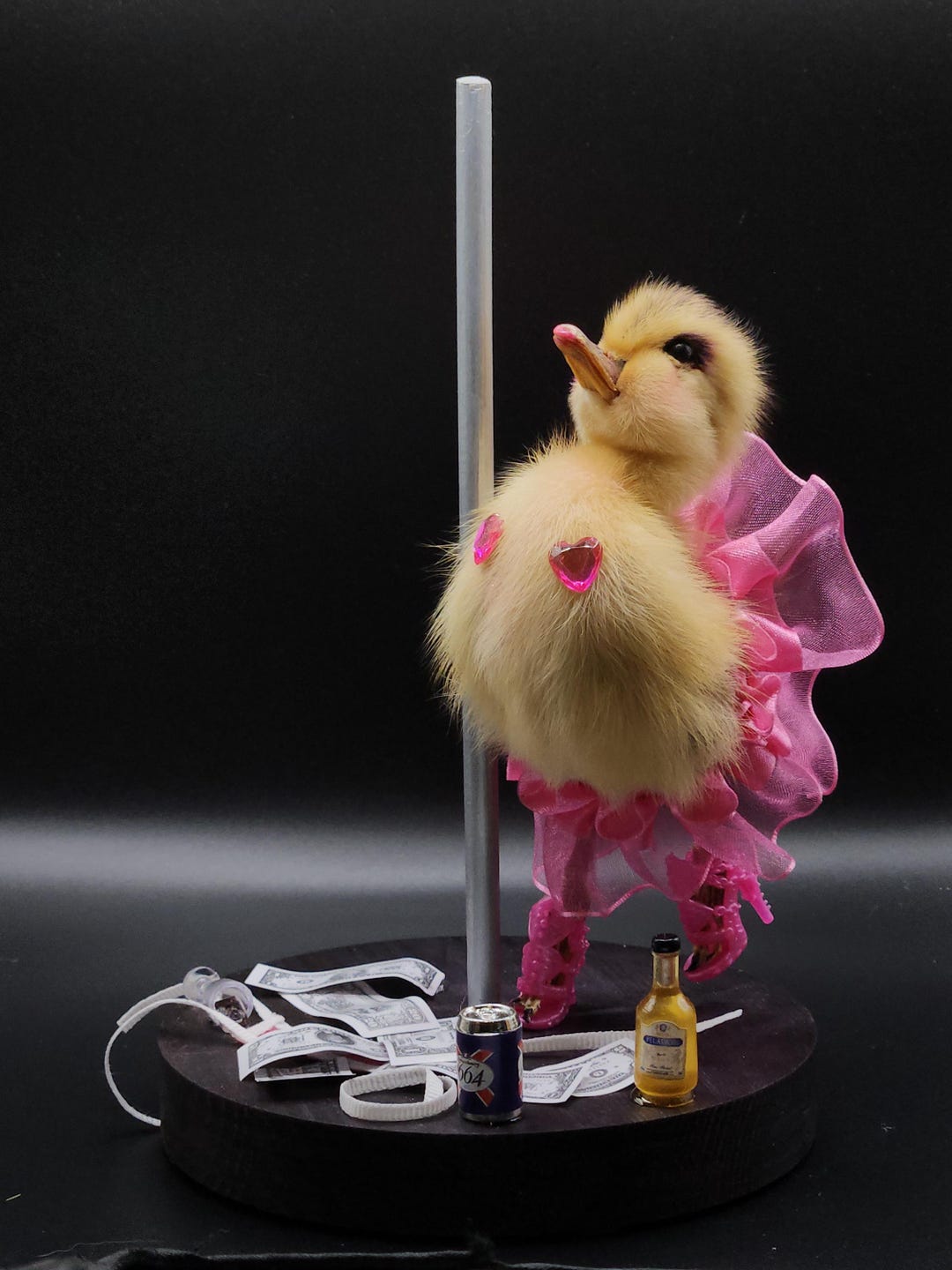 Genuine Taxidermy Duckling Stripper Exotic Dancer Ducks Custom Made-to ...