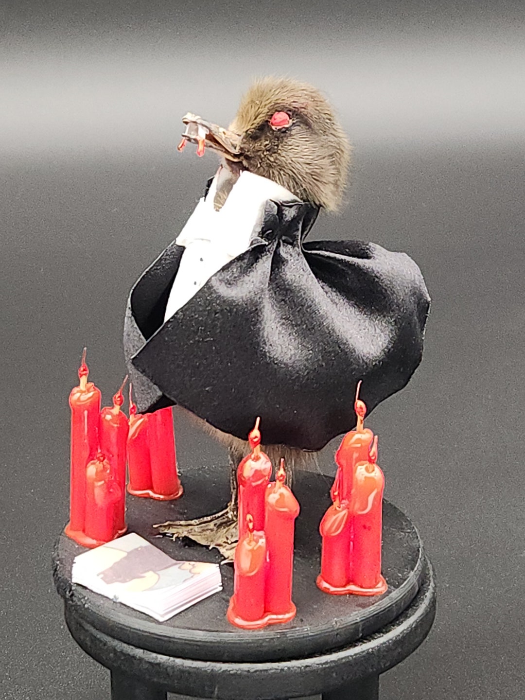 Quackula Genuine Taxidermy Duckling Dracula Vampire Vlad Horror Movie ...