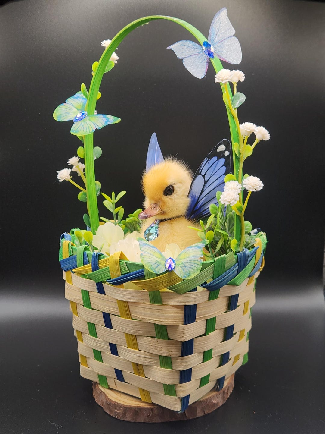 Easter Basket Ostara Spring Fairy Genuine Taxidermy Duckling Custom ...