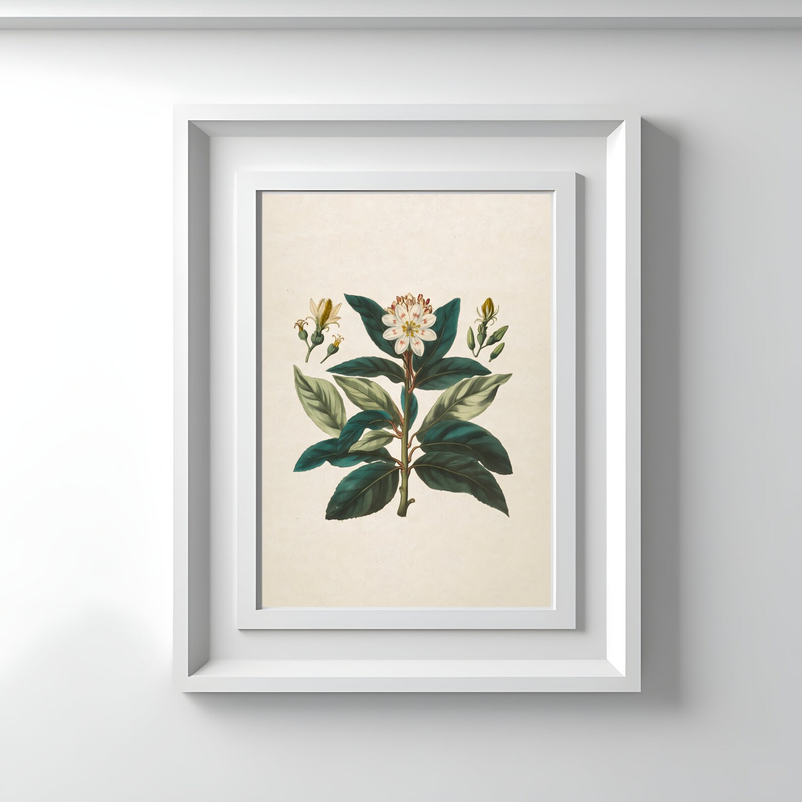 Vintage Flower Print Neutral Dark Green Botanical Wall Art PRINTABLE ...