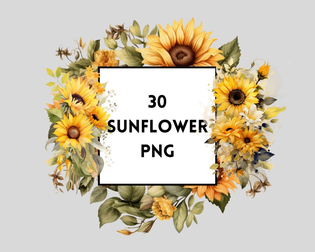 Watercolor Sunflower Clipart Set - Autumn Floral, Fall Flowers ...