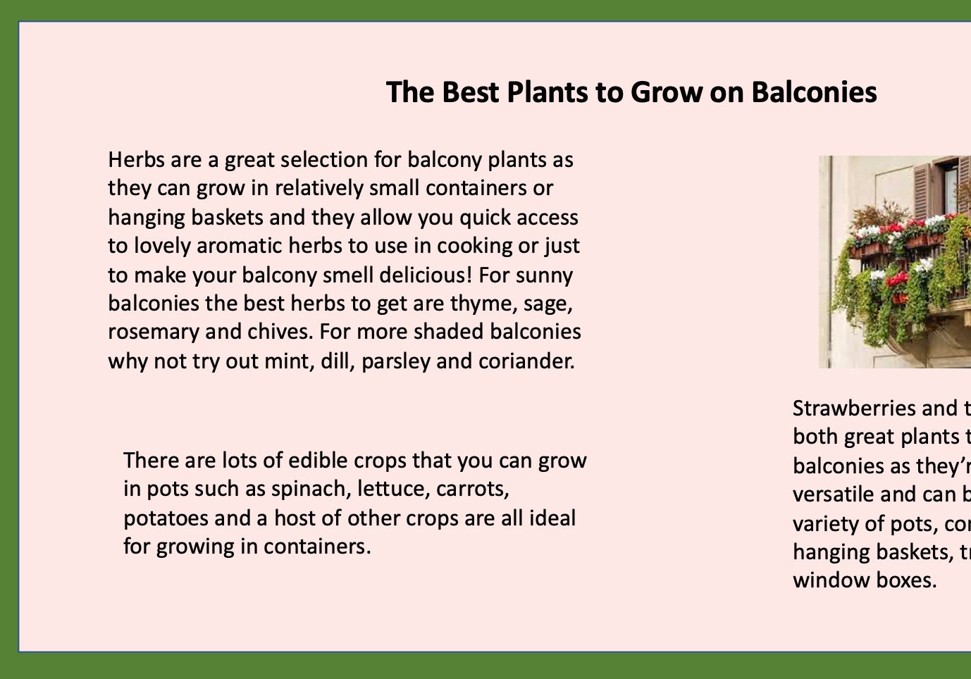 TEFL Primary Lesson Plan: Plants and Seasons - Etsy