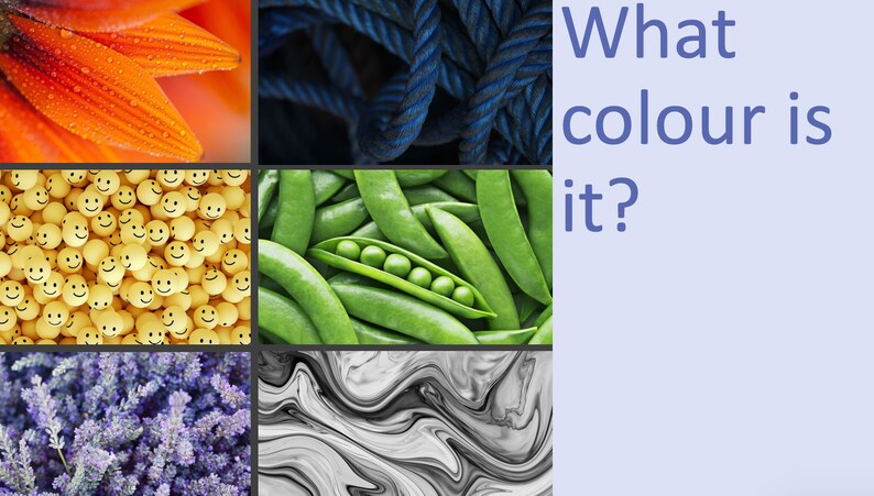 TEFL Primary Lesson Plan: Colours - Etsy