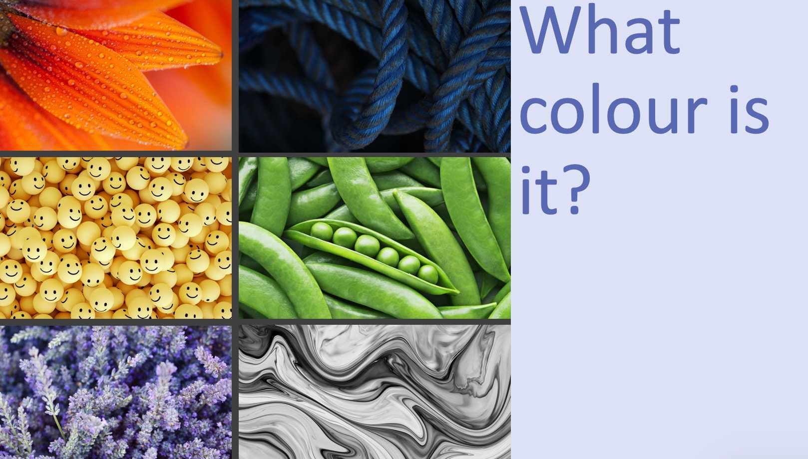 Tefl Primary Lesson Plan Colours Etsy 2801