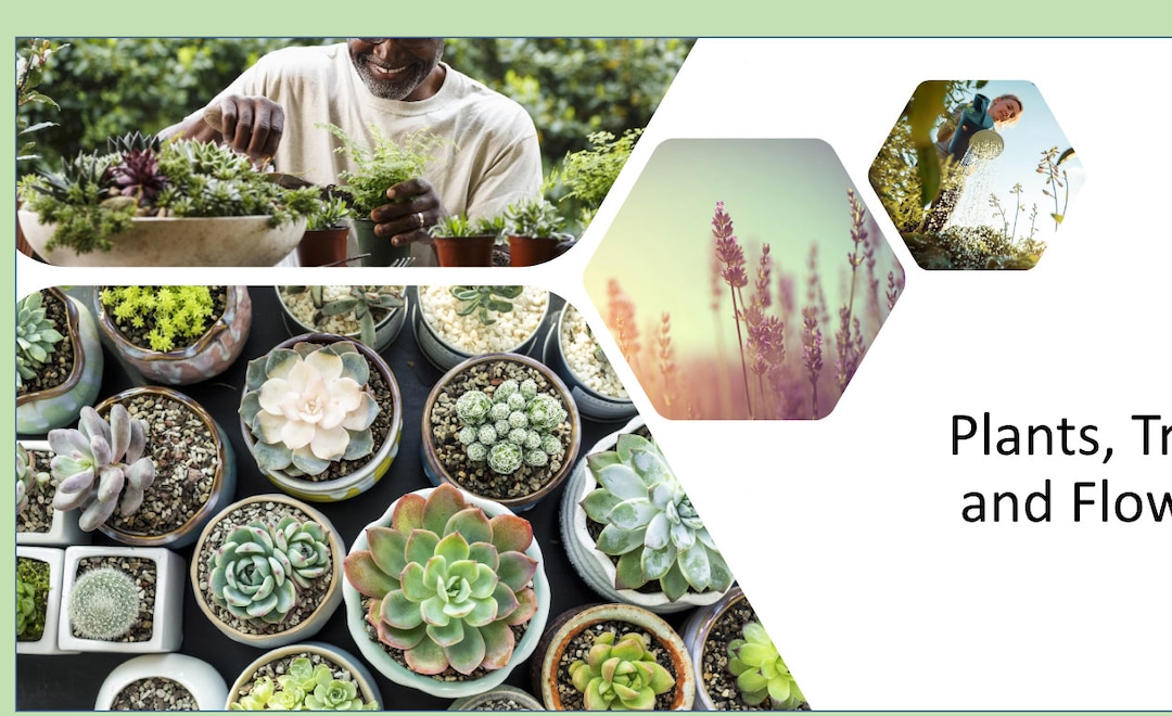 TEFL Primary Lesson Plan: Plants, Trees and Flowers - Etsy