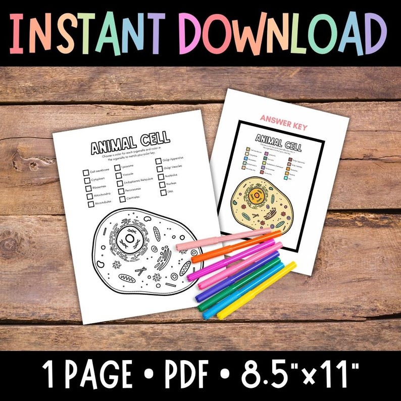 Animal Cell, Anatomy Coloring Page, Human Anatomy, Human Cell Labeling ...