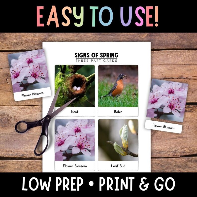 SPRING Nomenclature Cards, 3 Part Cards, Spring Activity, Montessori ...