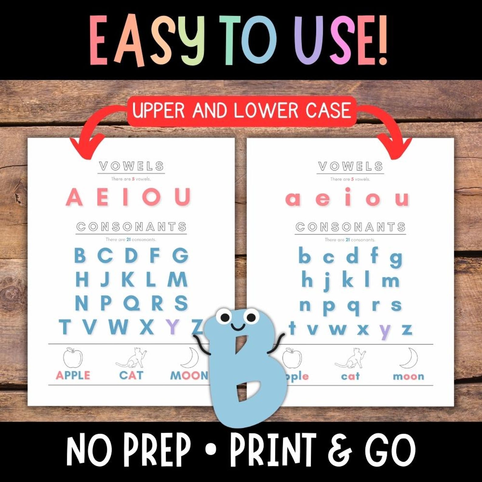Vowels Poster, Vowel Chart, Consonant Chart, Consonant Poster, Alphabet ...