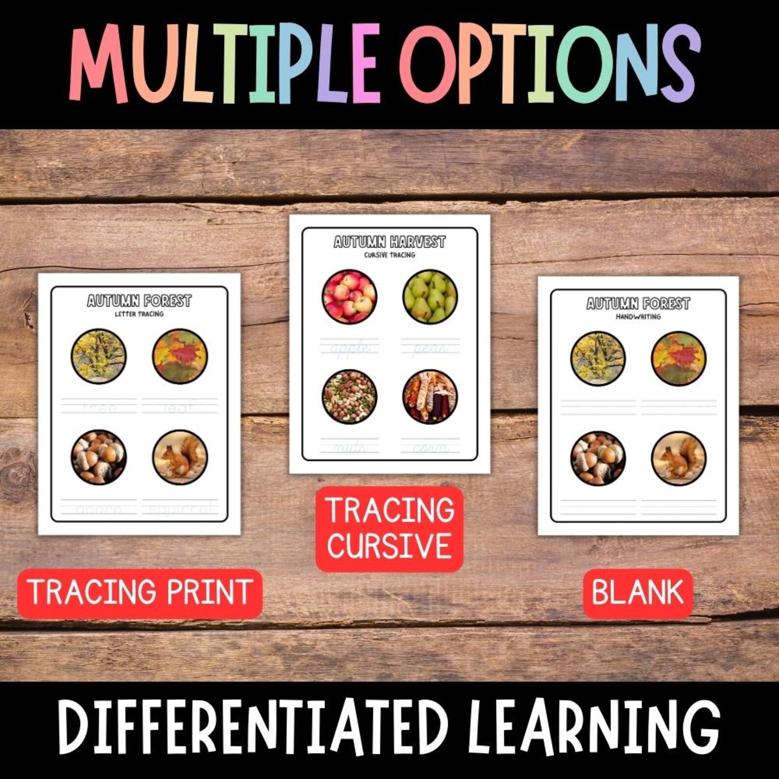 Autumn Unit Study, Science Study Unit, Fall Unit Study, Fall ...