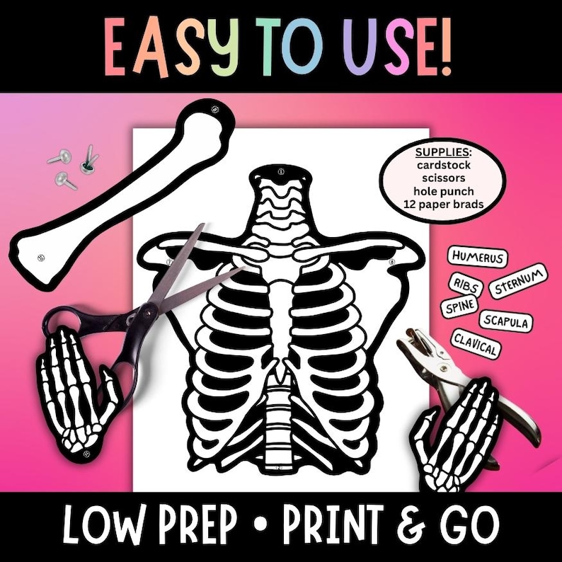 Printable Skeleton Craft, Skeletal System, Skeleton With Bone Labels ...