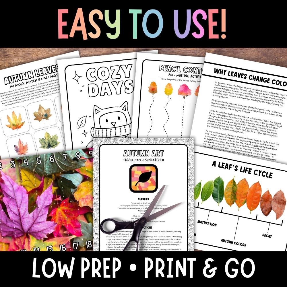 Autumn Unit Study, Science Study Unit, Fall Unit Study, Fall ...