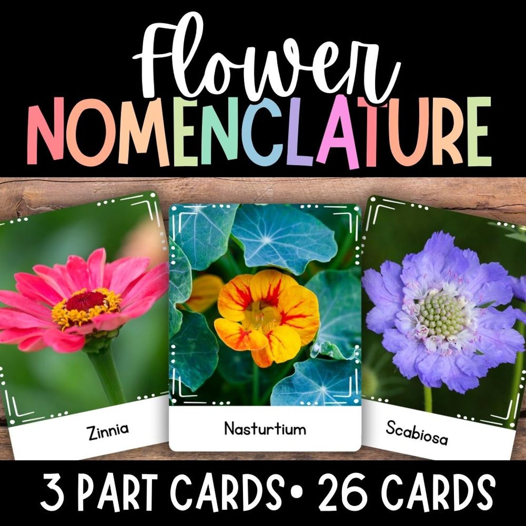 Flower Nomenclature Cards, A to Z Flowers, Spring Nomenclature, Flower ...