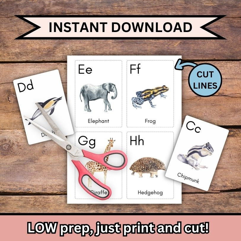 Watercolor Animal Alphabet Flash Cards for Kids, Preschool Flash Cards ...