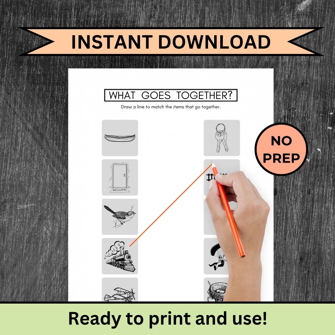 What Goes Together Worksheets, Things That Go Together, Visual ...