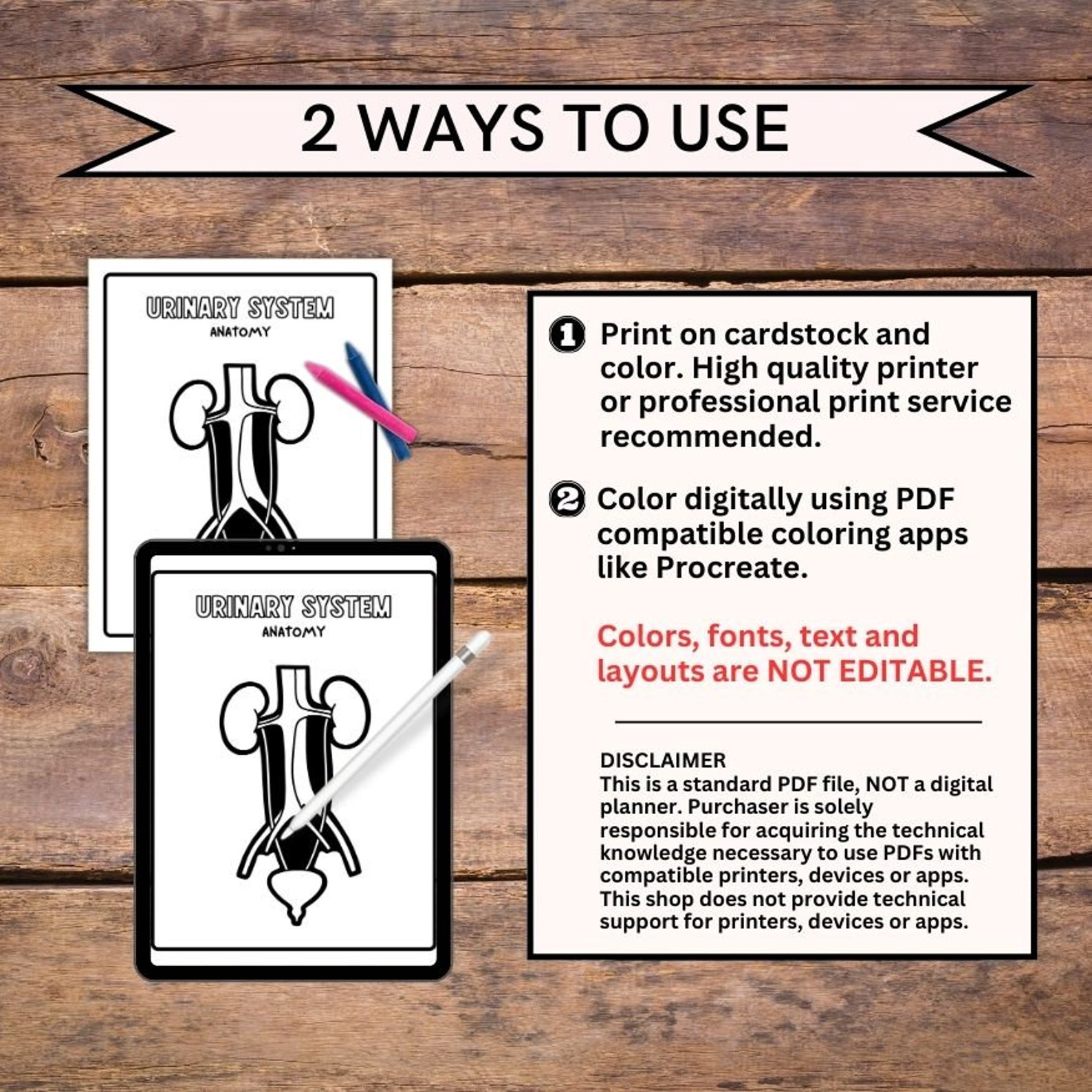 Urinary System Coloring Pages, Human Body Science for Kids, Printable ...