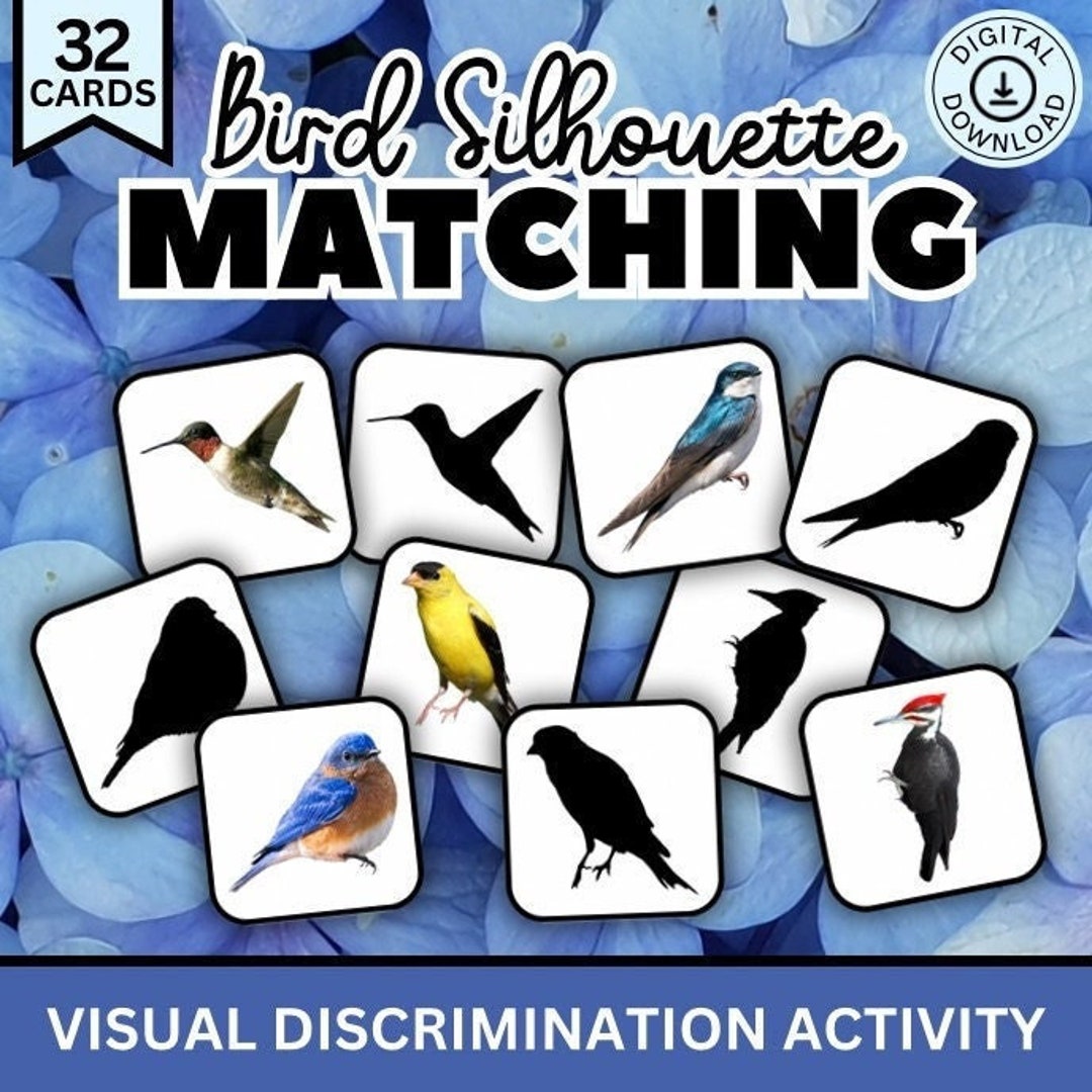 Bird Silhouette Matching Cards, Spring Card Game, Spring Activity ...