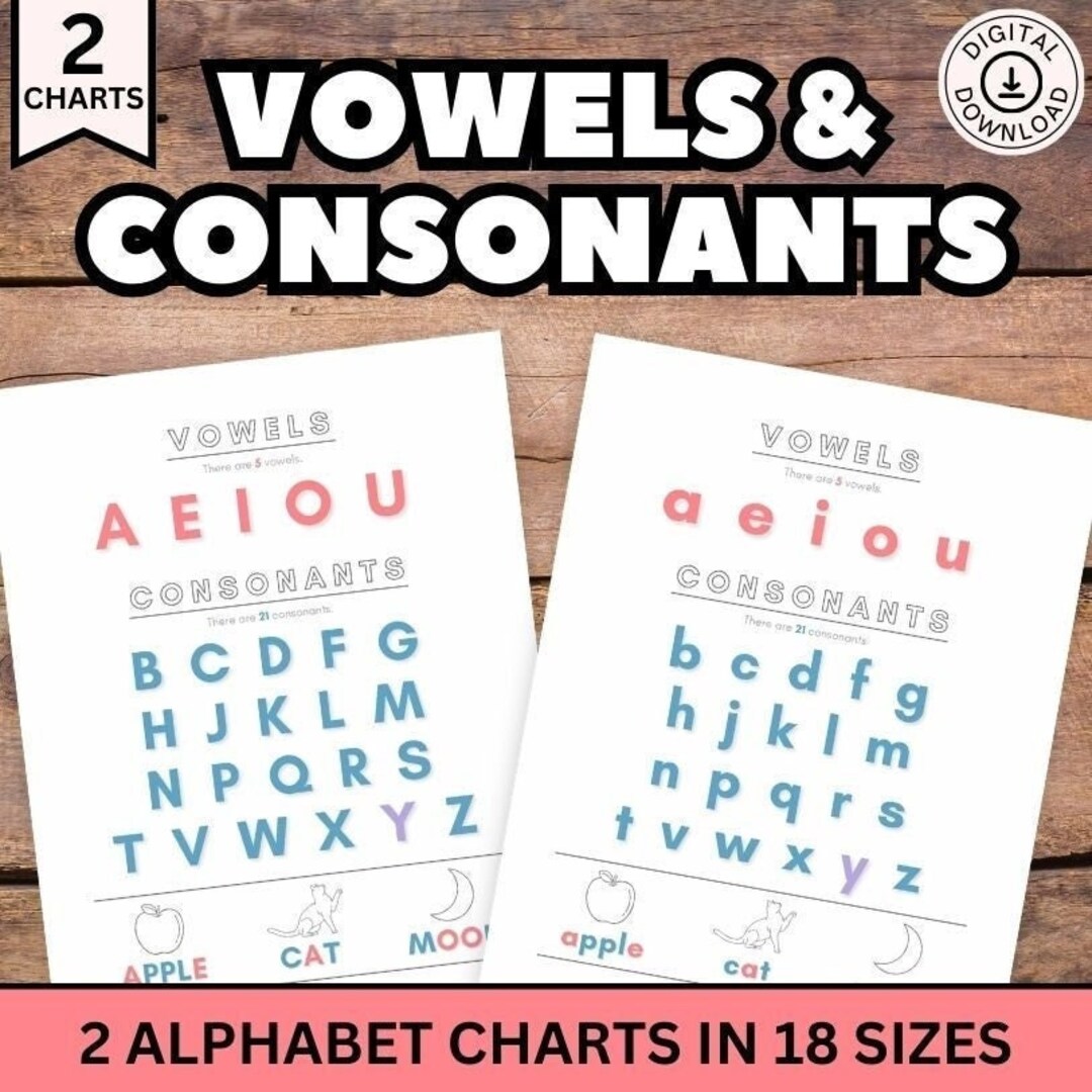 Vowels Poster, Vowel and Consonant Chart, Alphabet for Pre-k ...