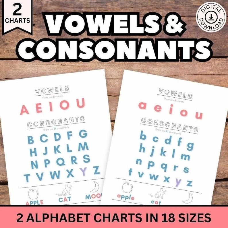 Vowels Poster, Vowel and Consonant Chart, Alphabet for Pre-k, Kindergarten, 1st Grade ...