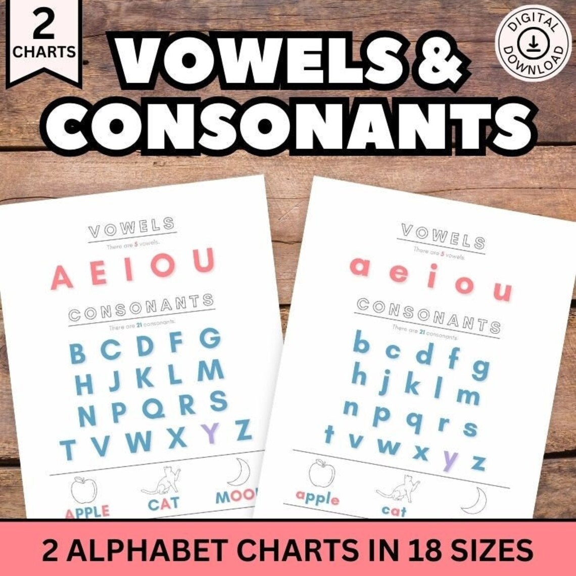 Vowels Poster, Vowel and Consonant Chart, Alphabet for Pre-k ...