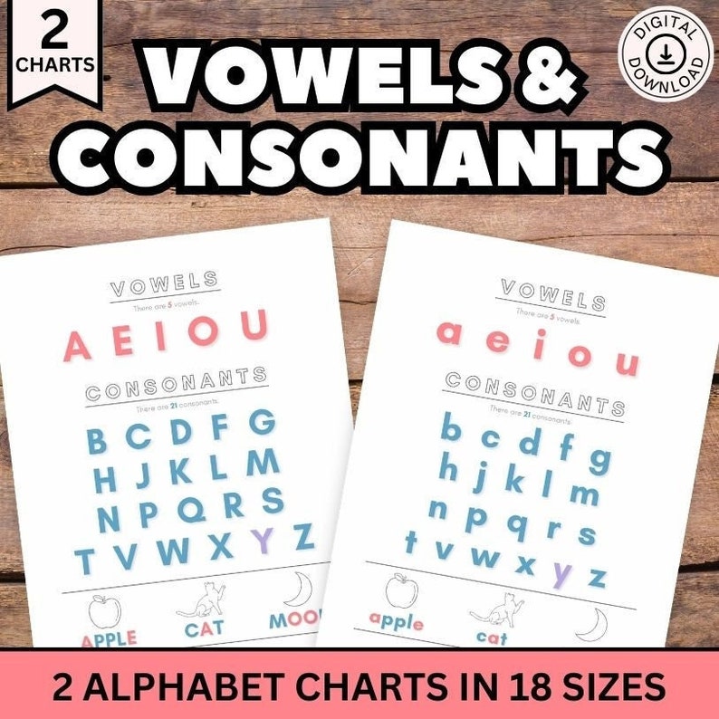 Vowels Poster, Vowel and Consonant Chart, Alphabet for Pre-k ...
