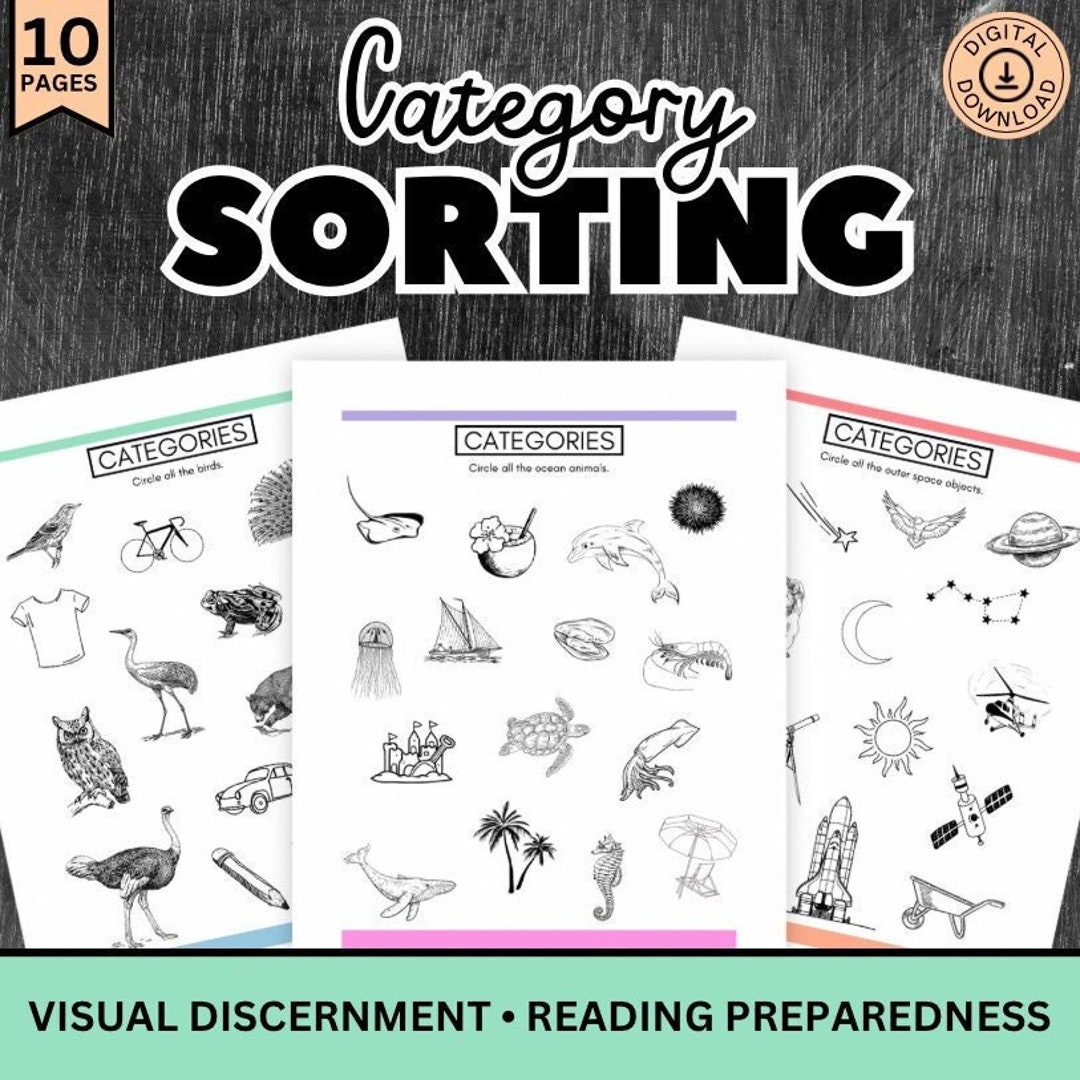 Category Sorting Worksheets, Visual Discrimination Discernment ...