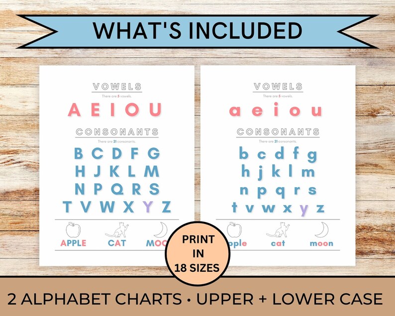 Vowel and Consonant Charts, Montessori Phonics Poster, Classroom Abcs ...