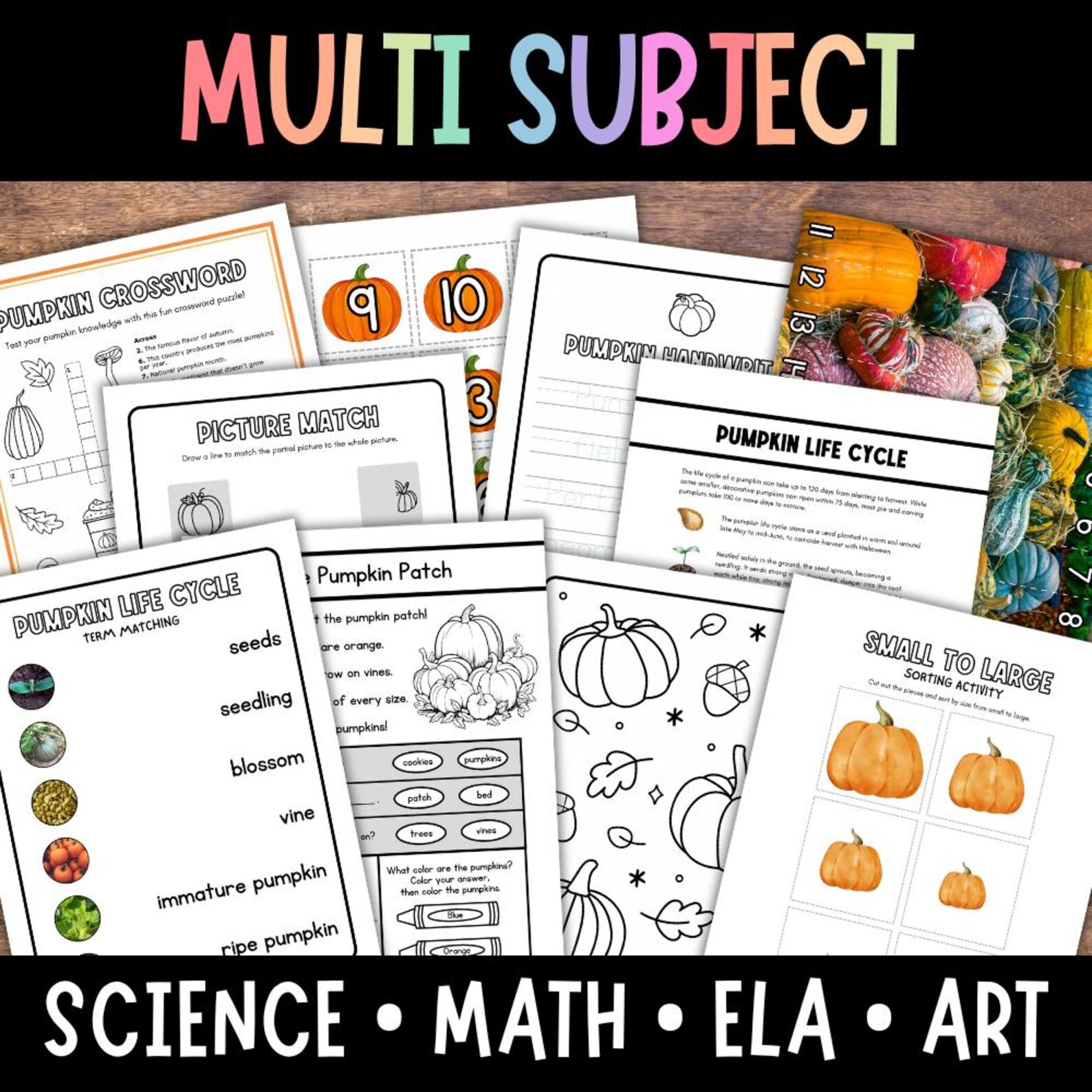Pumpkin Unit Study, Pumpkin Life Cycle, Pumpkin Worksheet, Harvest ...