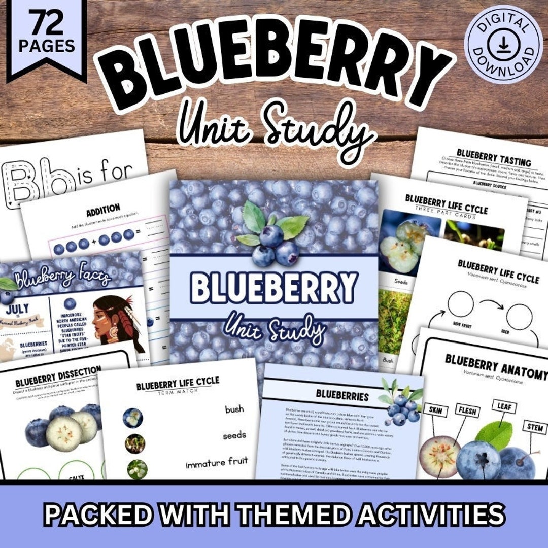 Blueberry Unit Study, Blueberry Worksheets, Blueberries Unit, Blueberry ...