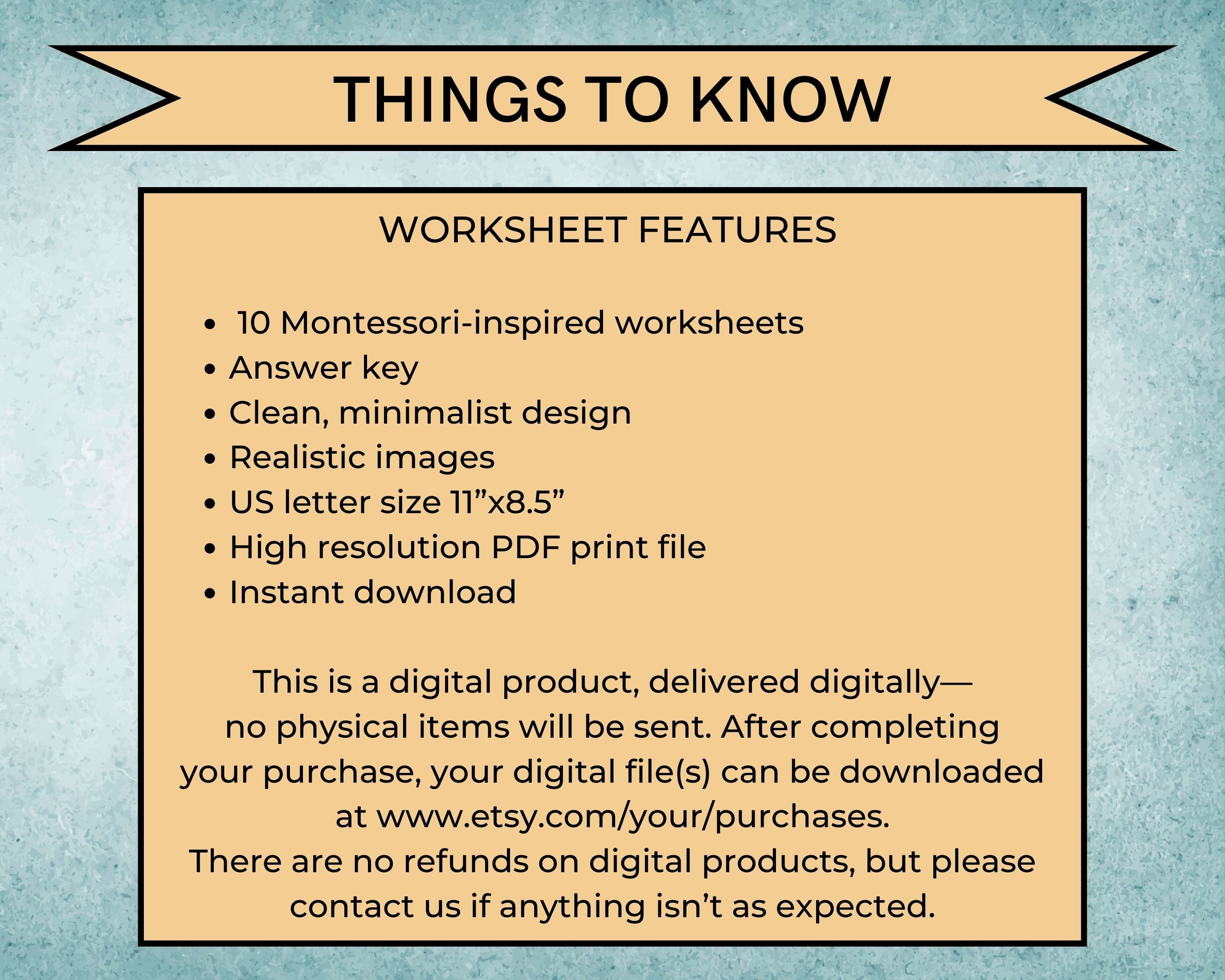 Beginning Sounds Worksheets Letter Matching Montessori - Etsy