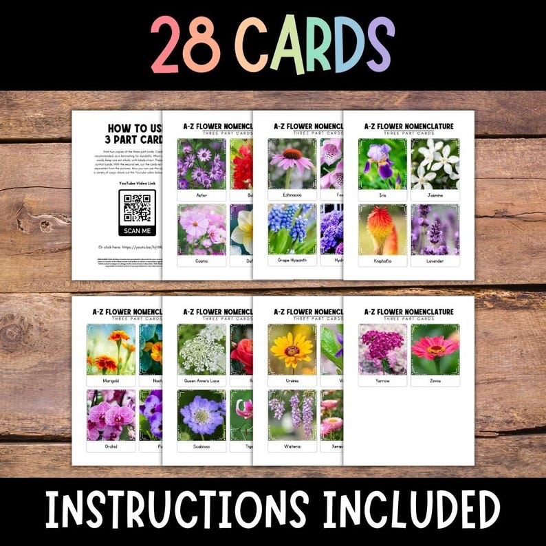 Flower Nomenclature Cards, A to Z Flowers, Spring Nomenclature, Flower ...