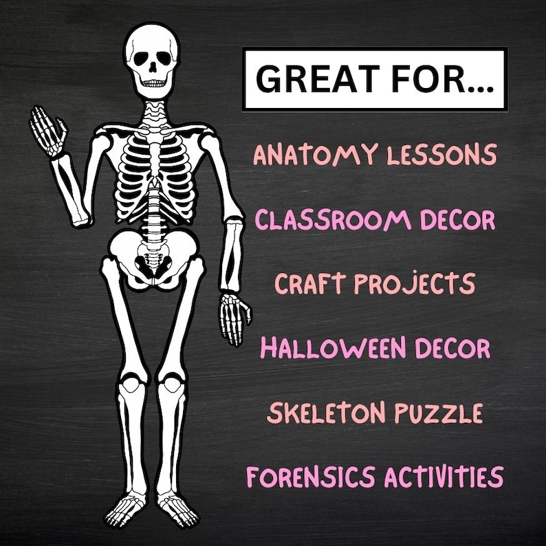 Printable Skeleton Craft, Skeletal System, Skeleton With Bone Labels ...