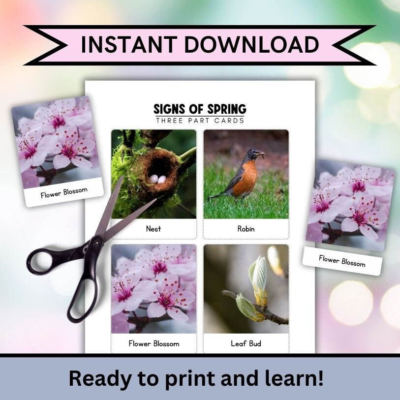 Signs of Spring Nomenclature Cards, 3 Part Cards, Spring Card Game ...