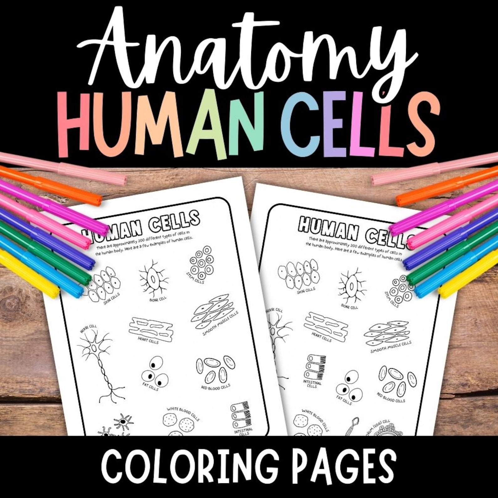 Cells Coloring Page, Human Body for Kids, Human Cell Coloring, Types of ...