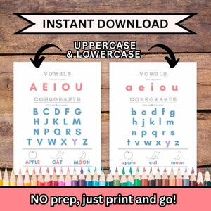 Vowels Poster, Vowel and Consonant Chart, Alphabet for Pre-k ...