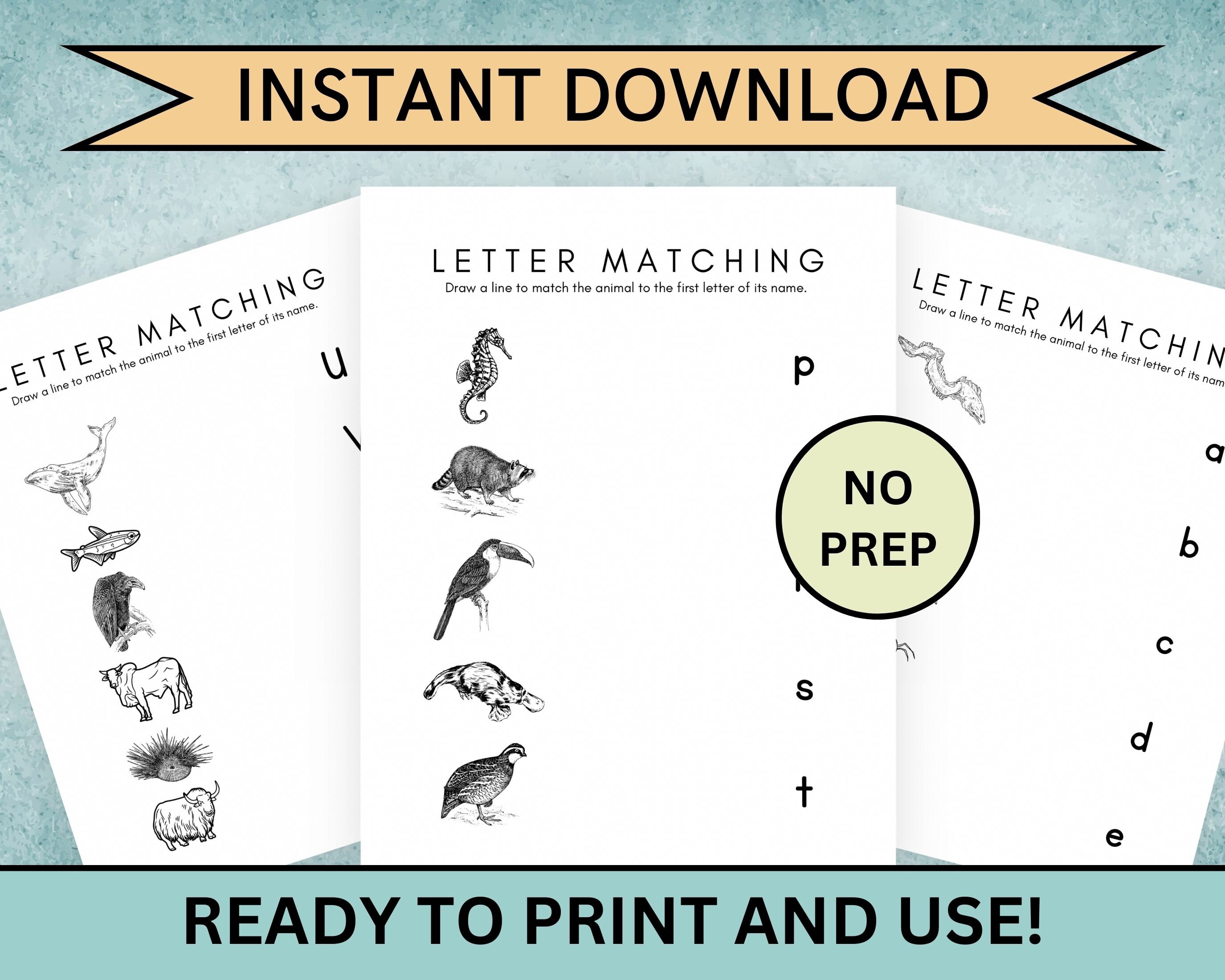 Beginning Sounds Worksheets Letter Matching Montessori - Etsy