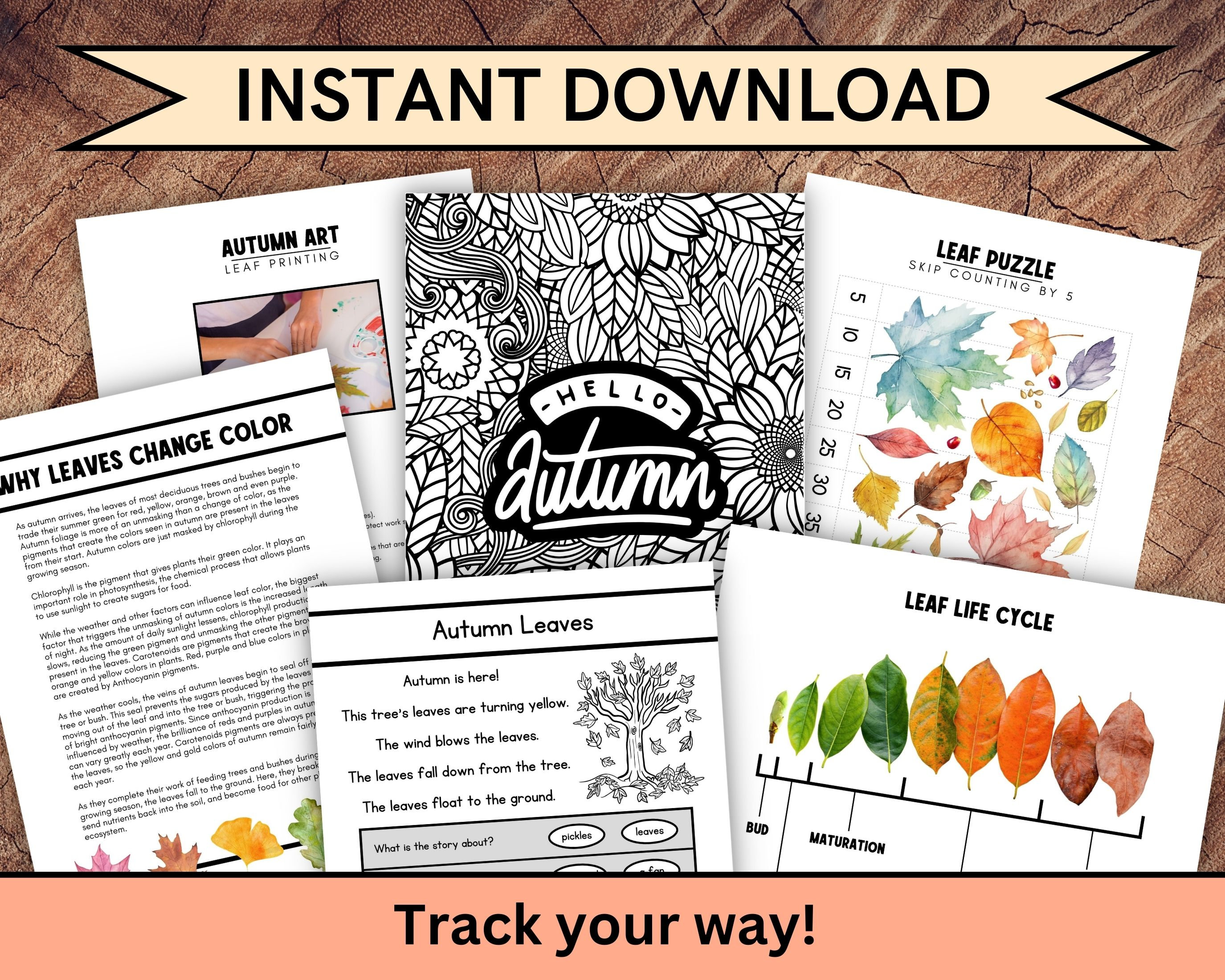 Autumn Unit Study, Science Study Unit, Fall Unit Study, Fall ...