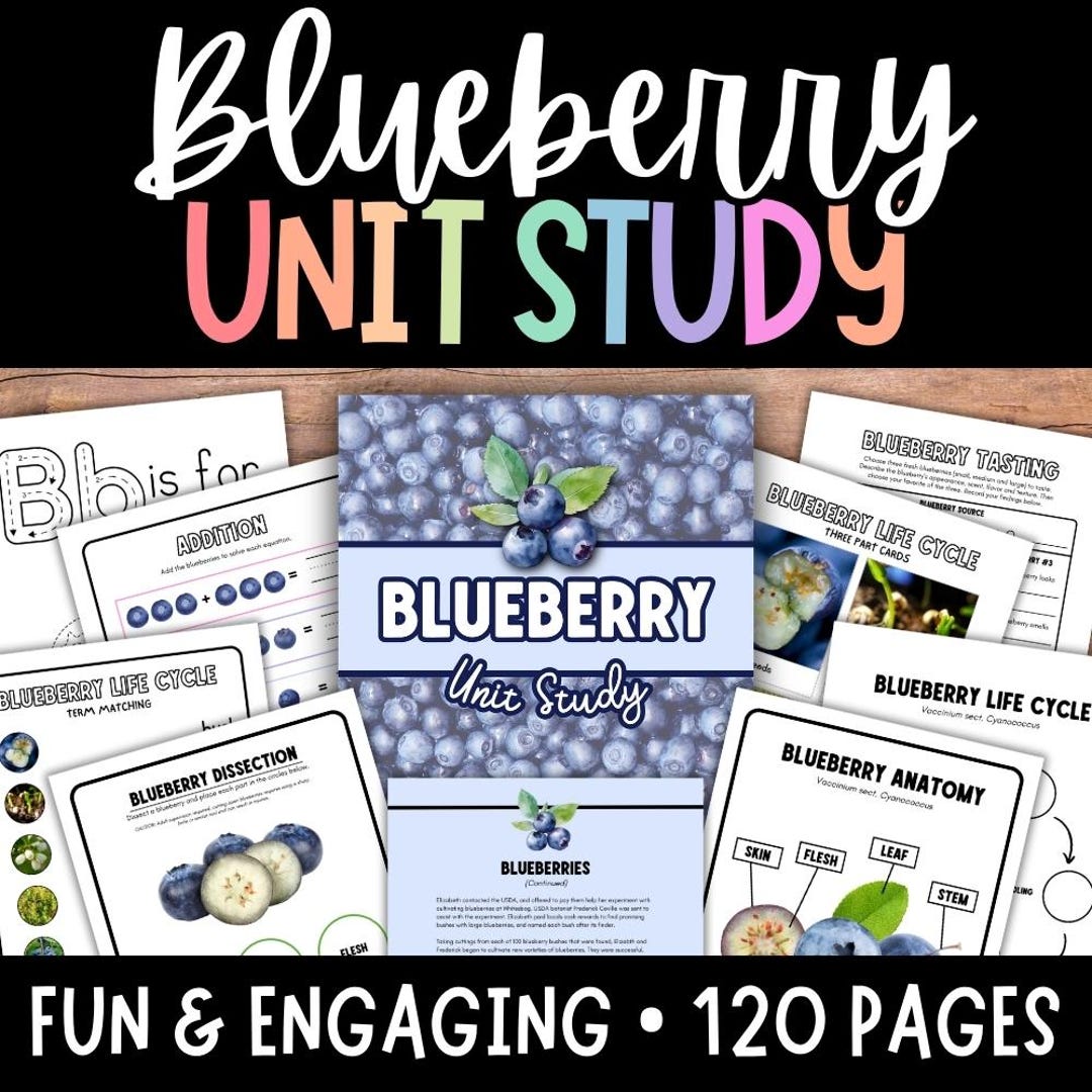 Blueberry Unit Study, Blueberry Worksheets, Blueberries Unit, Blueberry ...