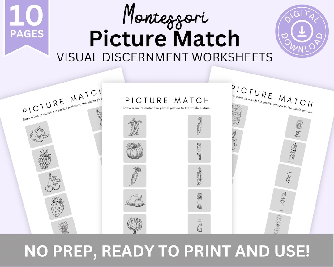 Visual Discernment Worksheets Visual Discrimination - Etsy