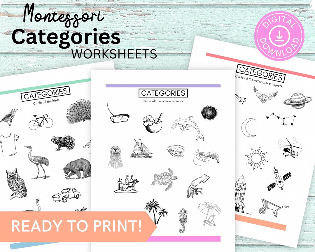 Categories Worksheets for Kids Visual Discernment Sorting - Etsy