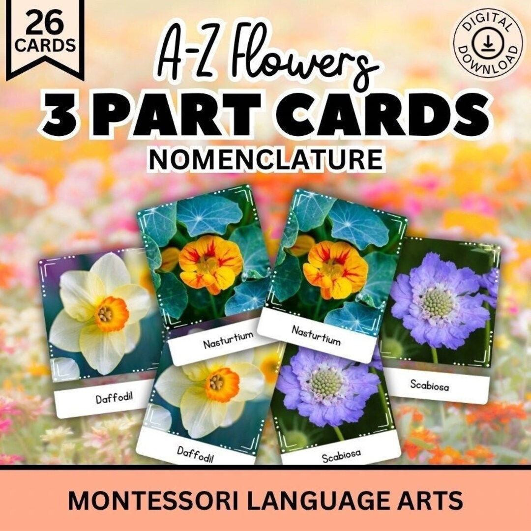 Flower Nomenclature Cards, 3 Part Cards, ABC Card Game, Montessori ...