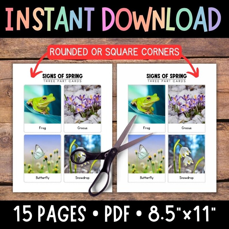 SPRING Nomenclature Cards, 3 Part Cards, Spring Activity, Montessori ...