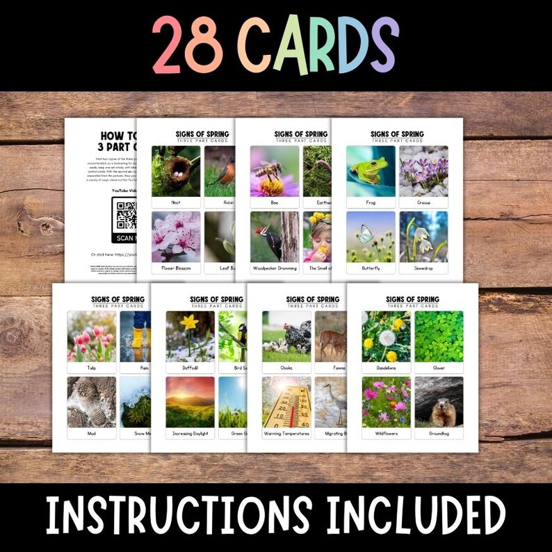 SPRING Nomenclature Cards, 3 Part Cards, Spring Activity, Montessori ...