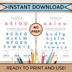 Vowel and Consonant Charts, Montessori Phonics Poster, Classroom Abcs ...