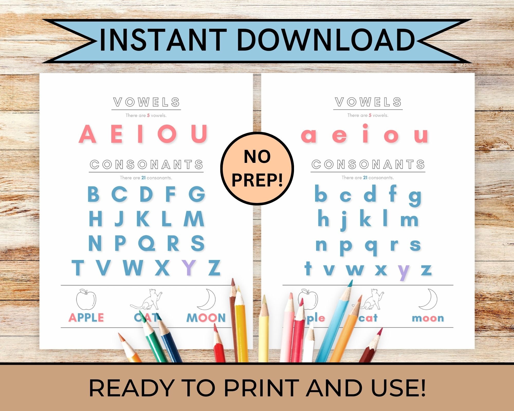 Vowels And Consonants Poster