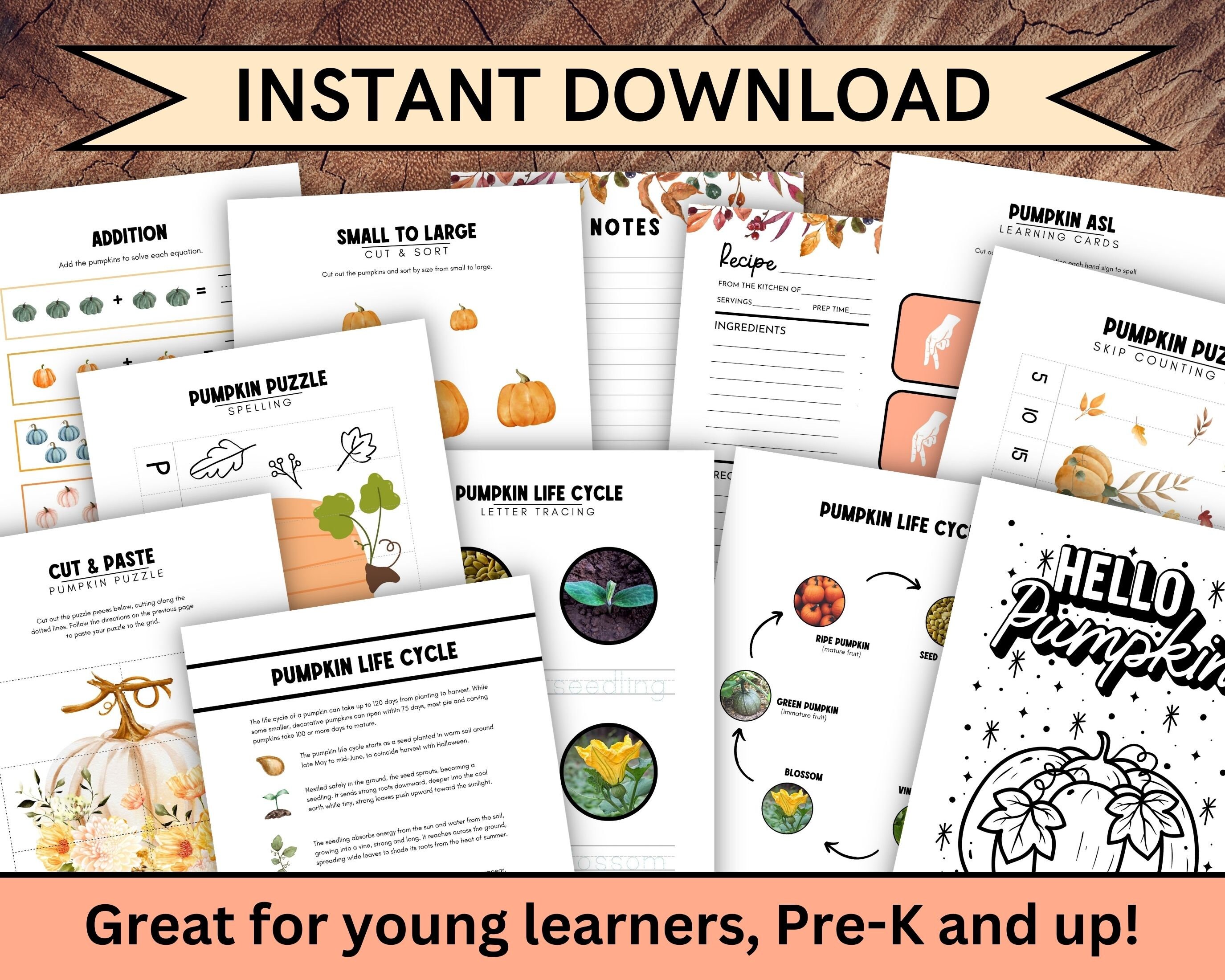 Pumpkin Unit Study Printable, Pumpkin Life Cycle Worksheet, Harvest ...