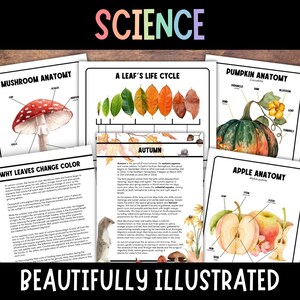 Autumn Unit Study, Science Study Unit, Fall Unit Study, Fall ...