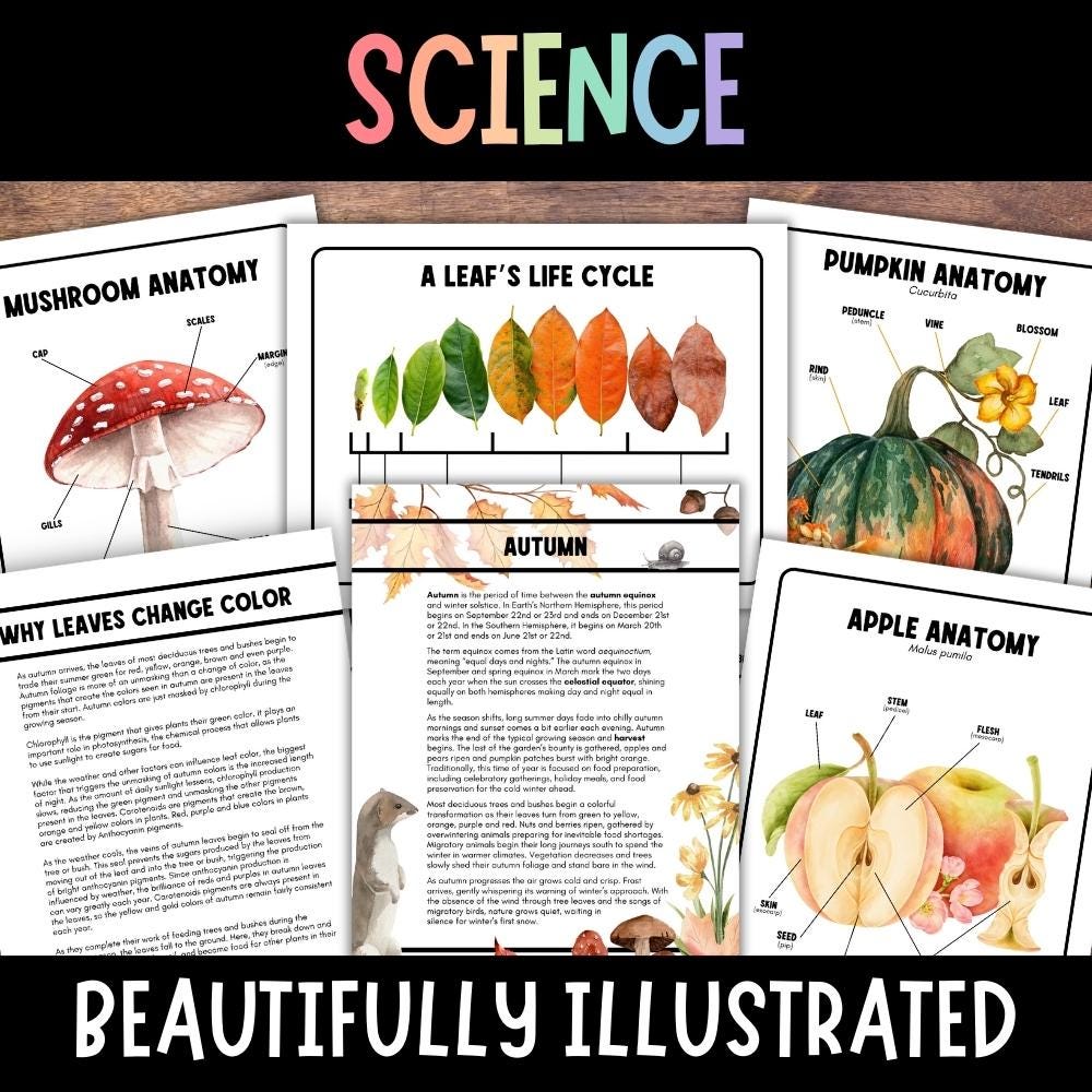 Autumn Unit Study, Science Study Unit, Fall Unit Study, Fall ...