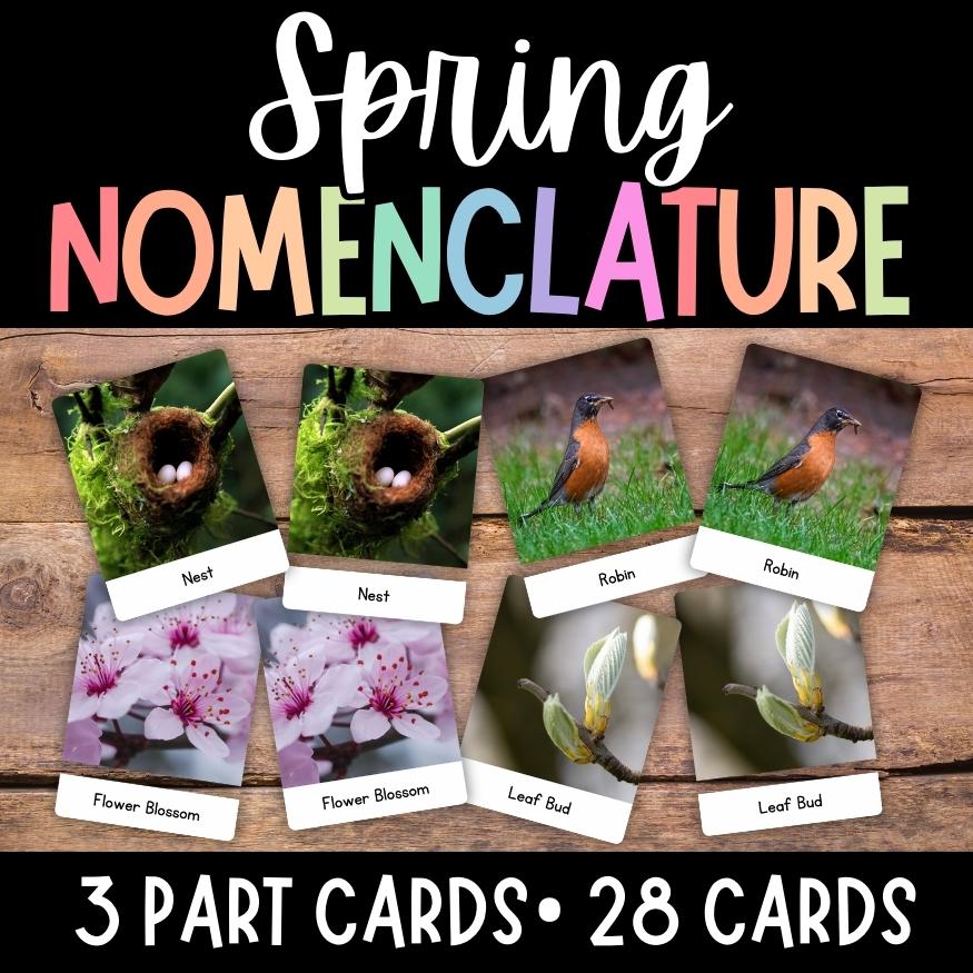 SPRING Nomenclature Cards, 3 Part Cards, Spring Activity, Montessori ...